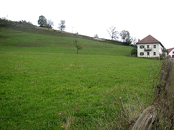 FotografÃ­as de Arive - Aribeko Argazkiak - Navarra- Nafarroa - LASONET